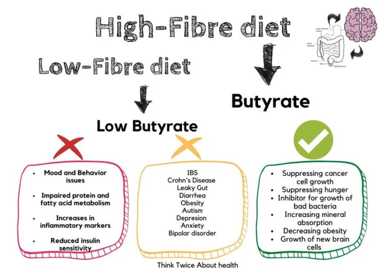 What is Butyrate and why we should care - Think Twice About Health